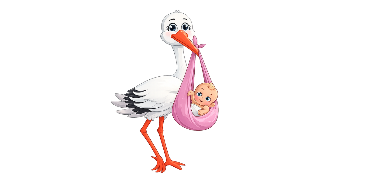 Storks Diapers